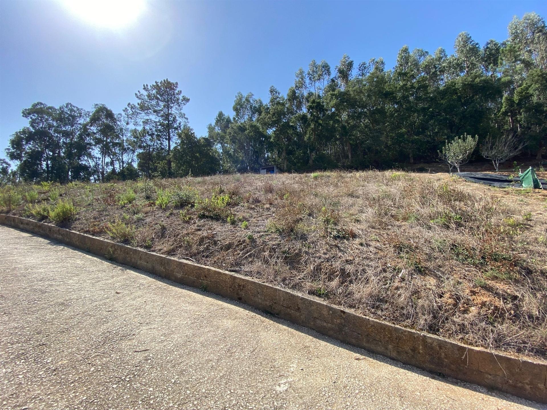 Terreno rustico / Cortes / Leiria - Ref. 280230160 - Habitar Portugal