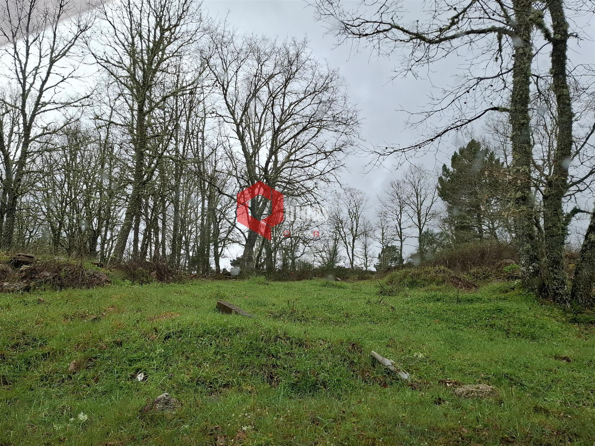 Terreno agricola para construção agricola. - Ref. 032-2025-VB - Habitar ...