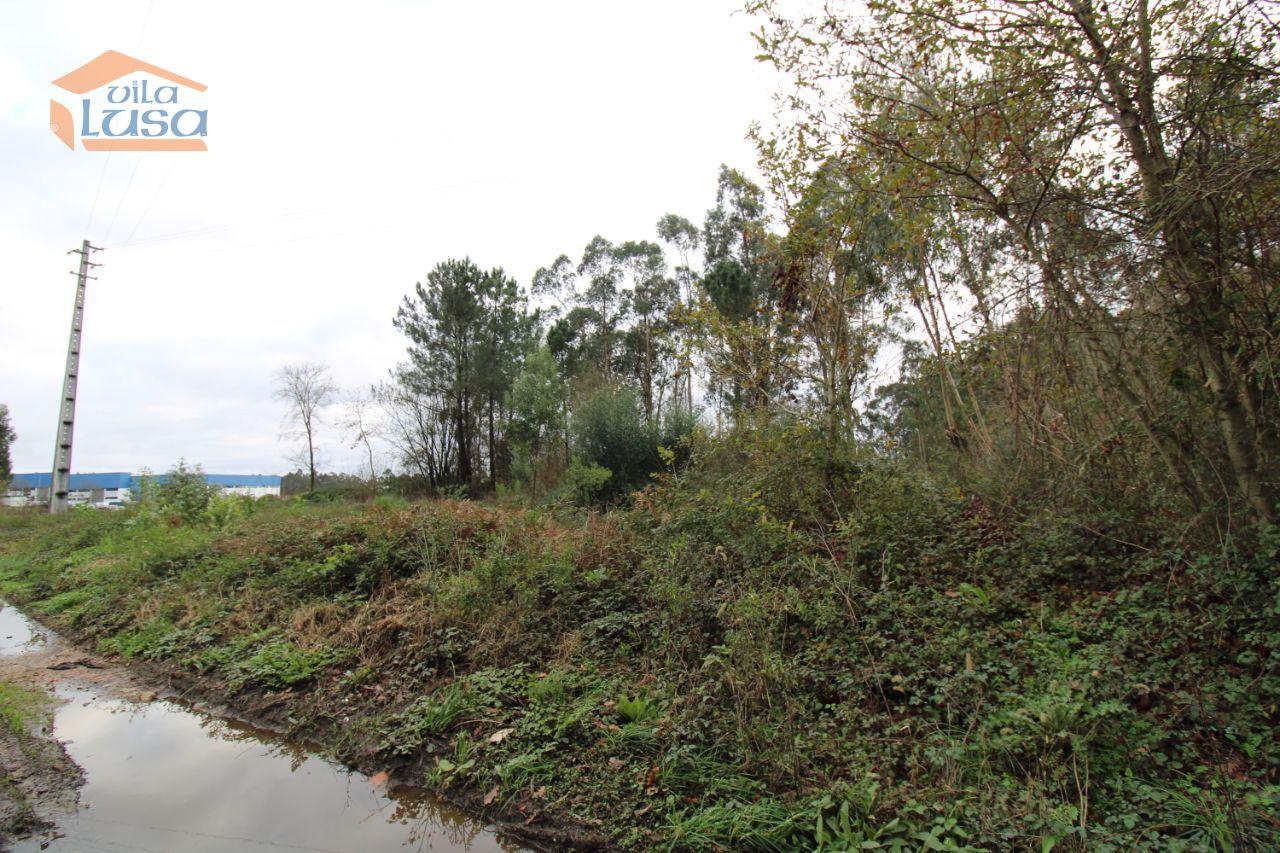 Terreno Trofa com 6.000 m2 para arrendamento Ideal para estaleiro de ...